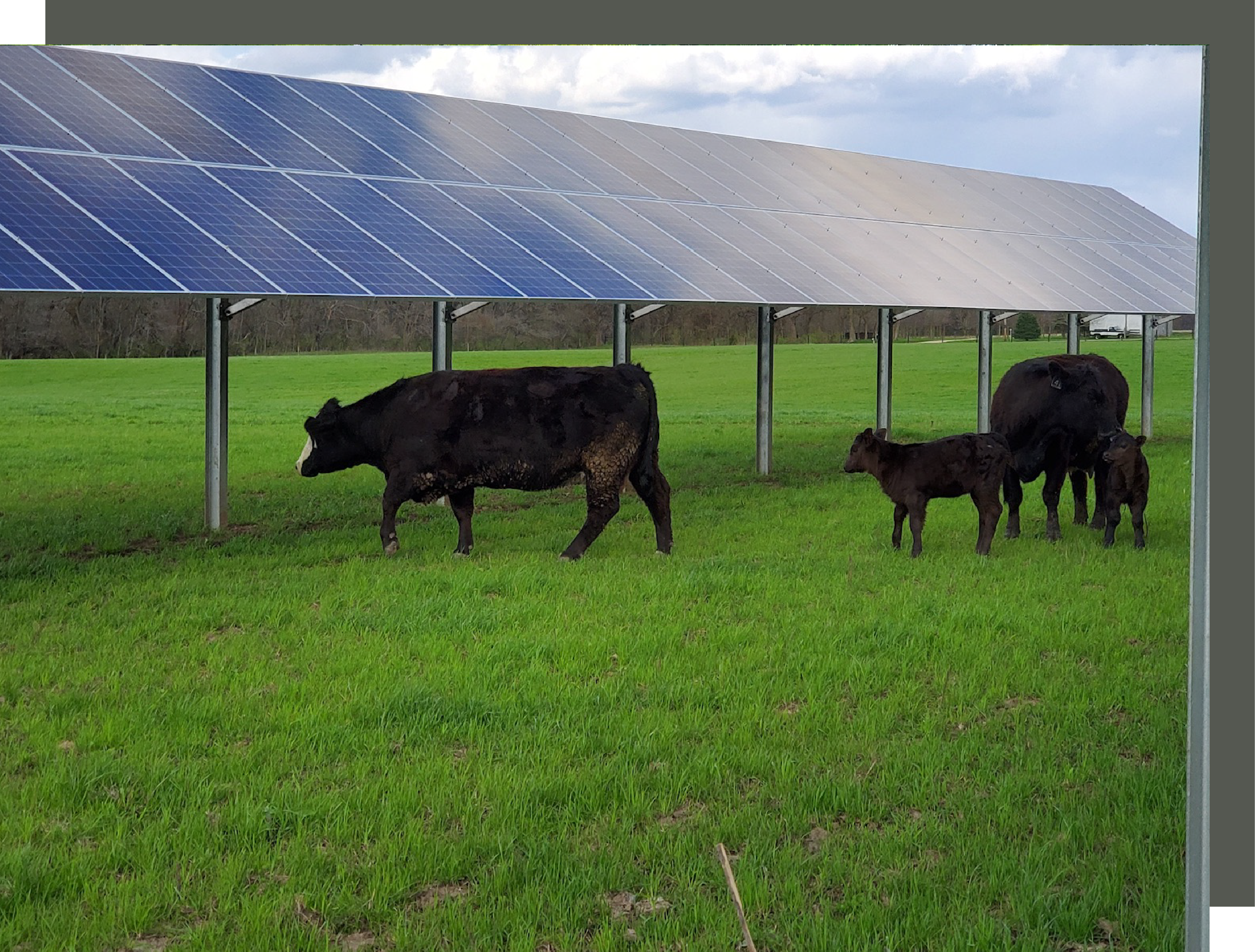 Empowering Your Farm with Sustainable Energy | Harvest Solar